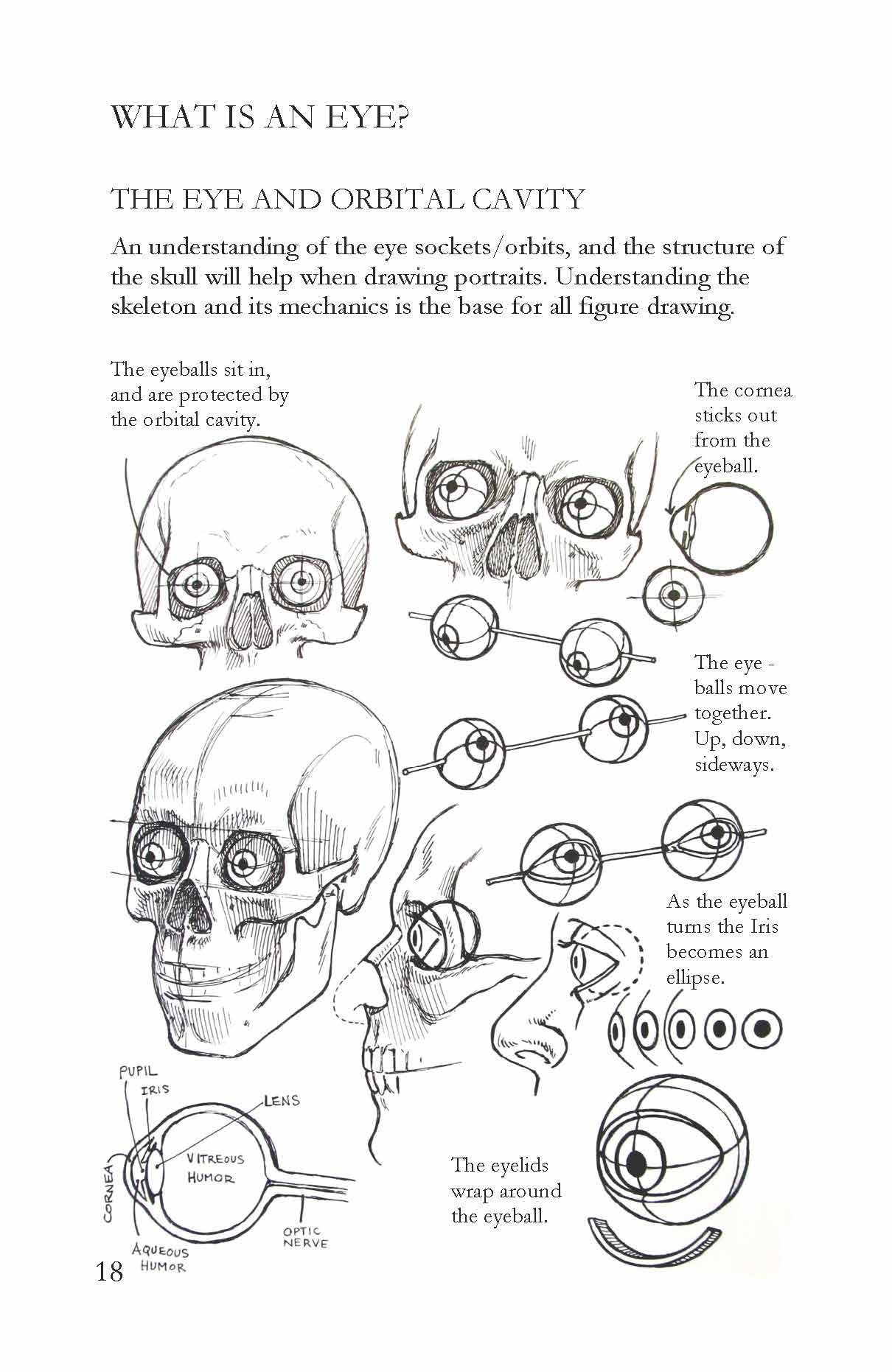 Thurman Publishes New Instructional Drawing Books - Qwik Print :Qwik Print